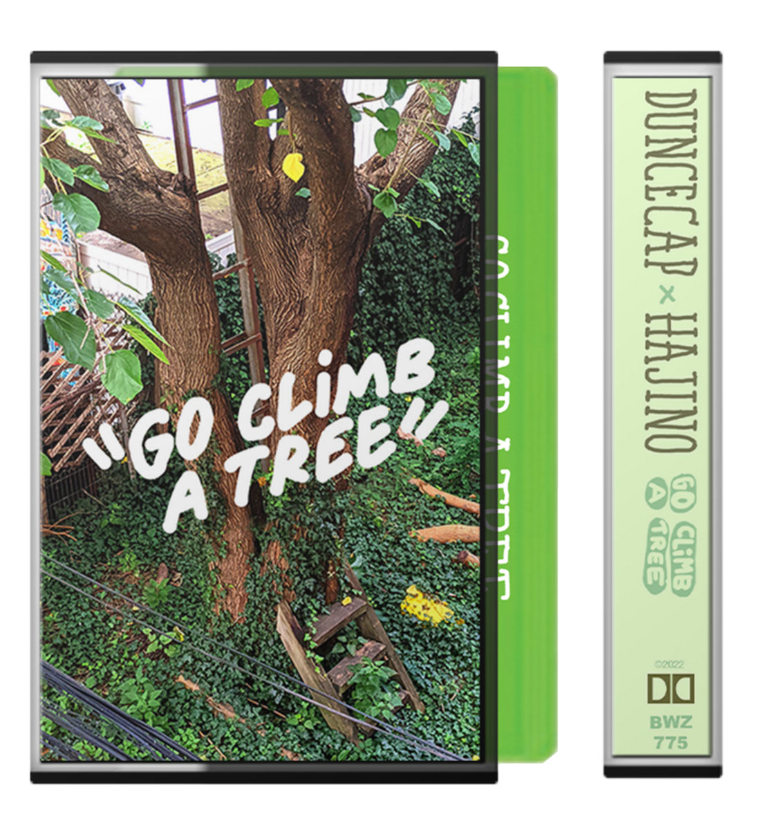 Go Climb A Tree | HAJINO x DUNCECAP | Duncecap
