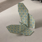 Amy Locust Whatever | CBMC