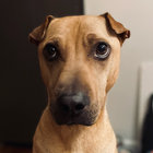 Sounds Like... | Florry