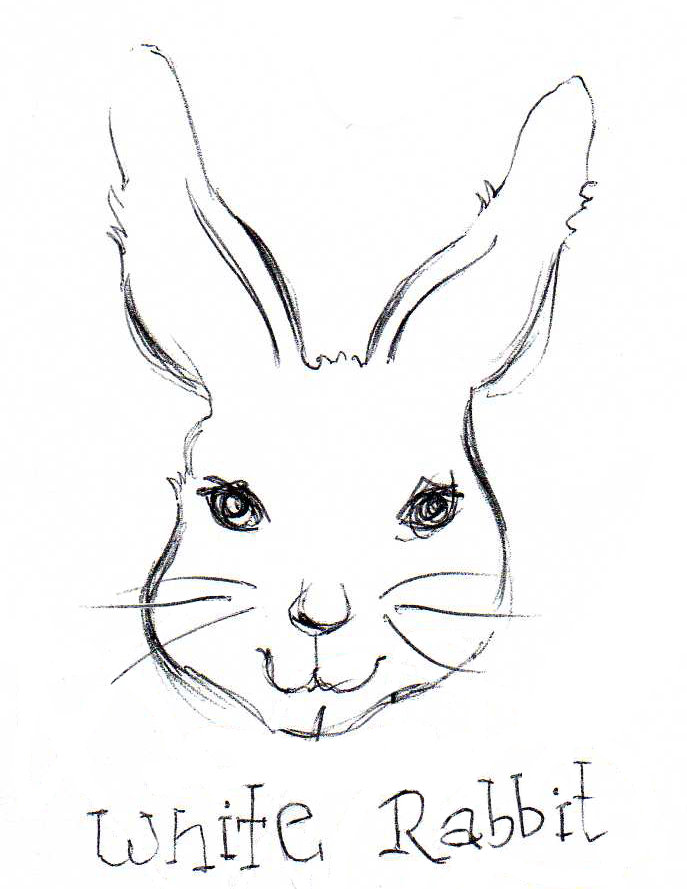 When We Feel | White Rabbit Music