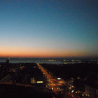 Minute Bodies: The Intimate World Of F. Percy Smith | tindersticks