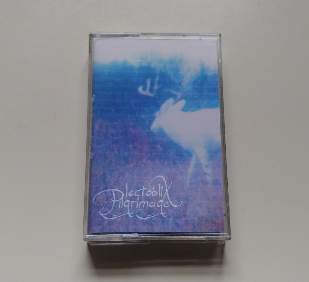 Pilgrimage | Lectoblix | Dungeon Squid Productions