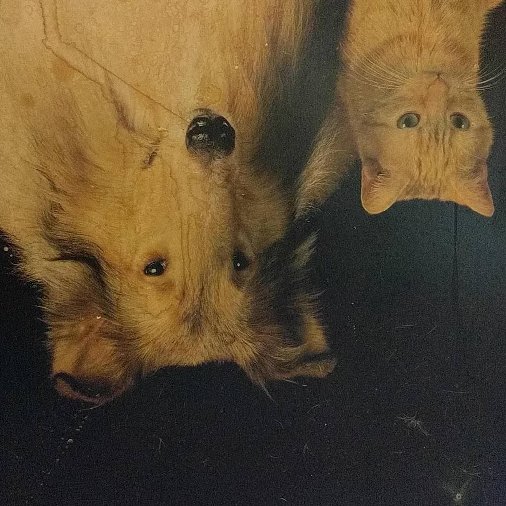 colinmaclean's collection | Bandcamp