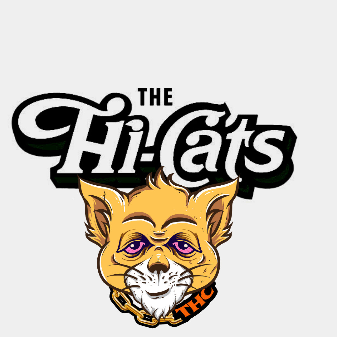 Banner Year | The Hi-Cats | The HiCats