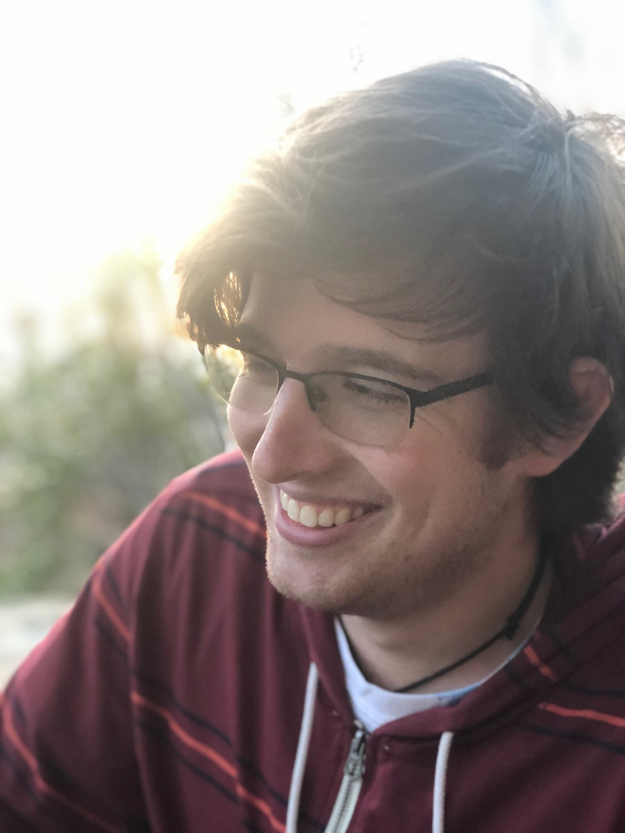 hummingbird | James Pollack