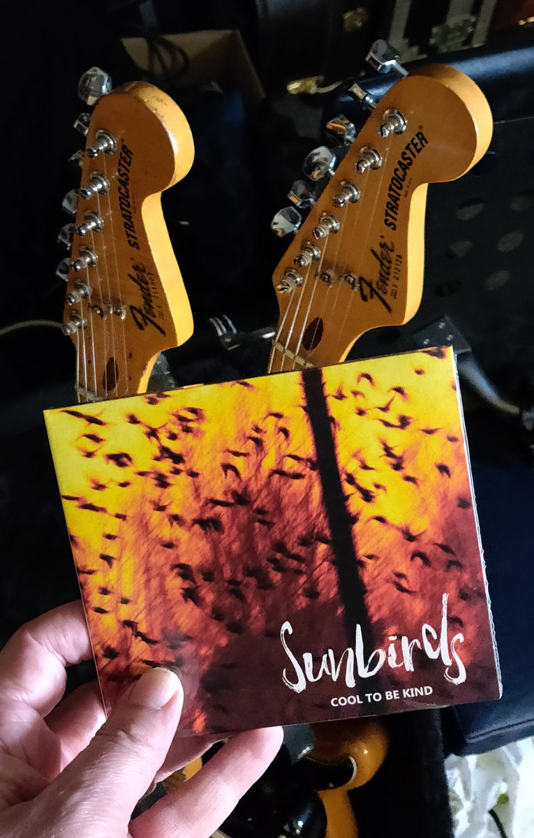Cool To Be Kind | Sunbirds