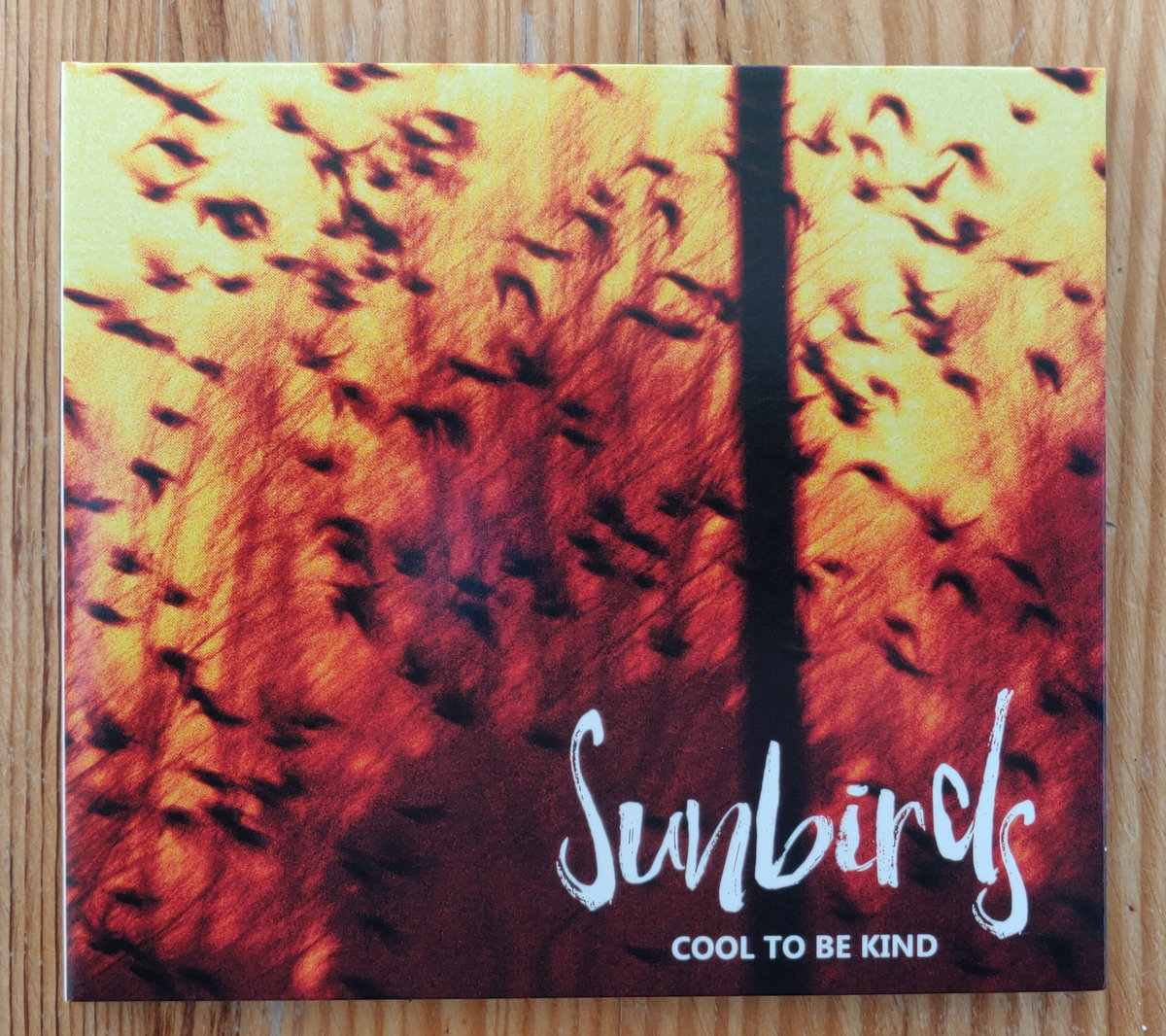 Cool To Be Kind | Sunbirds