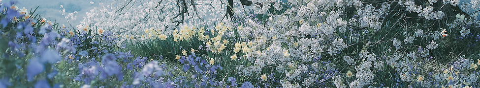 The Ambiguity of Nature | Plastic Alter | Nature Noise Wall