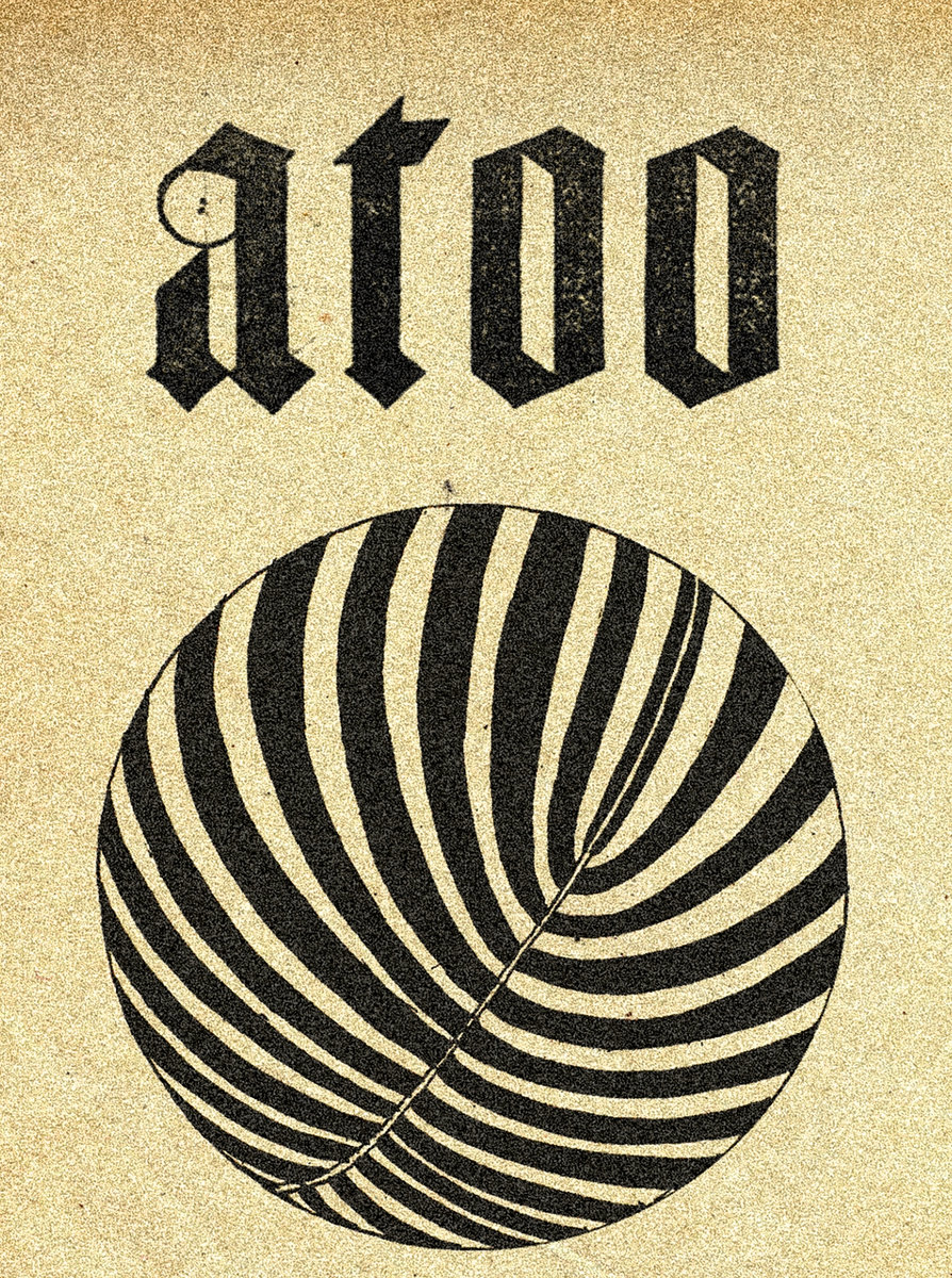 Reversed Life | Ali Sohanaki | Atoo