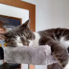 MANIAC feat Yann Ligner | Carpenter Brut