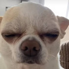 Bashed Out | This Is The Kit