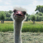 Mickmas EP Vol. 1 | Mick Flannery