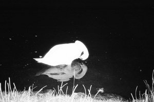 Music | wissam sader