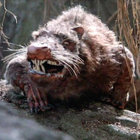 Interdimensional Extinction | Blood Incantation