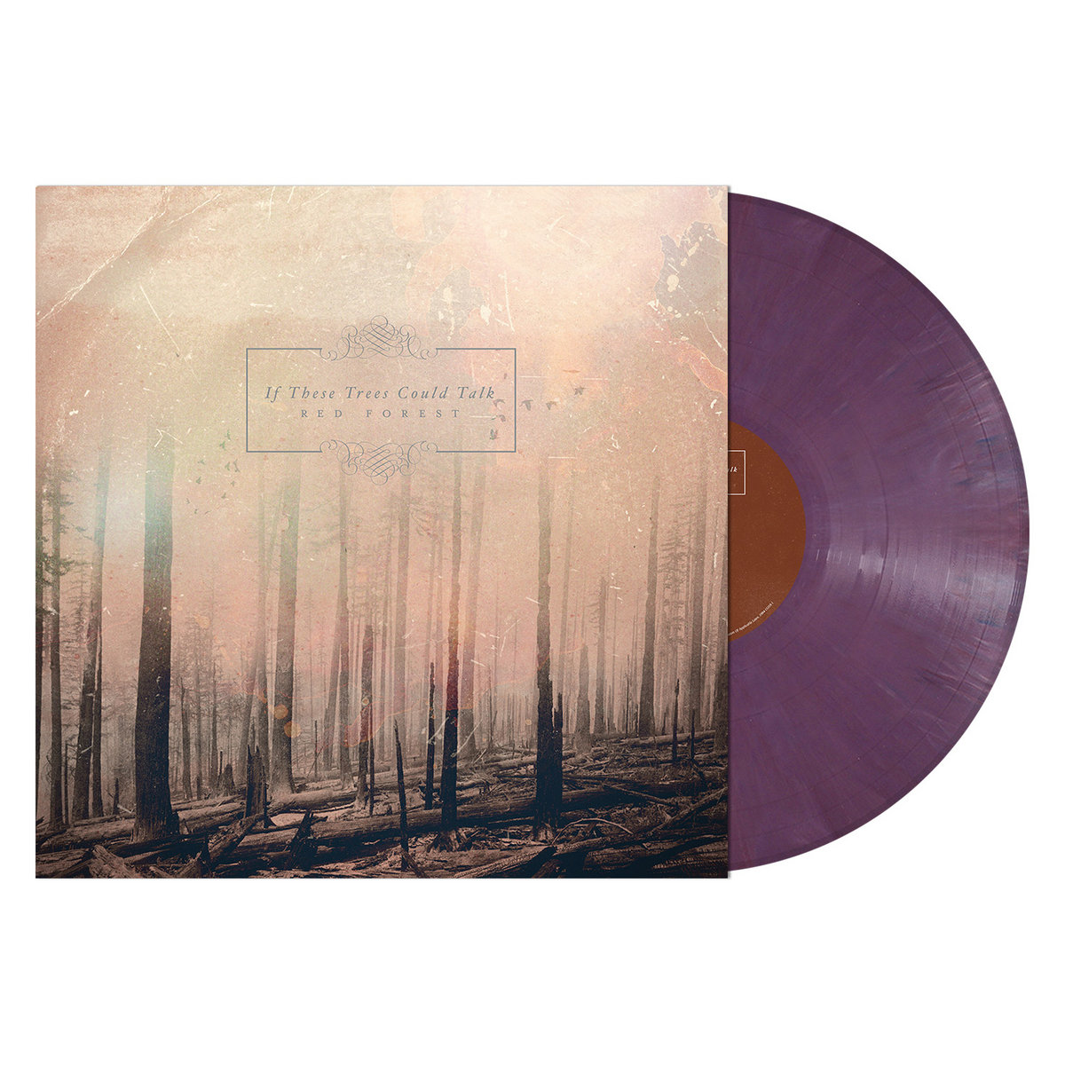 Red Forest | If These Trees Could Talk