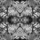 Muttermaschine | Mother Engine