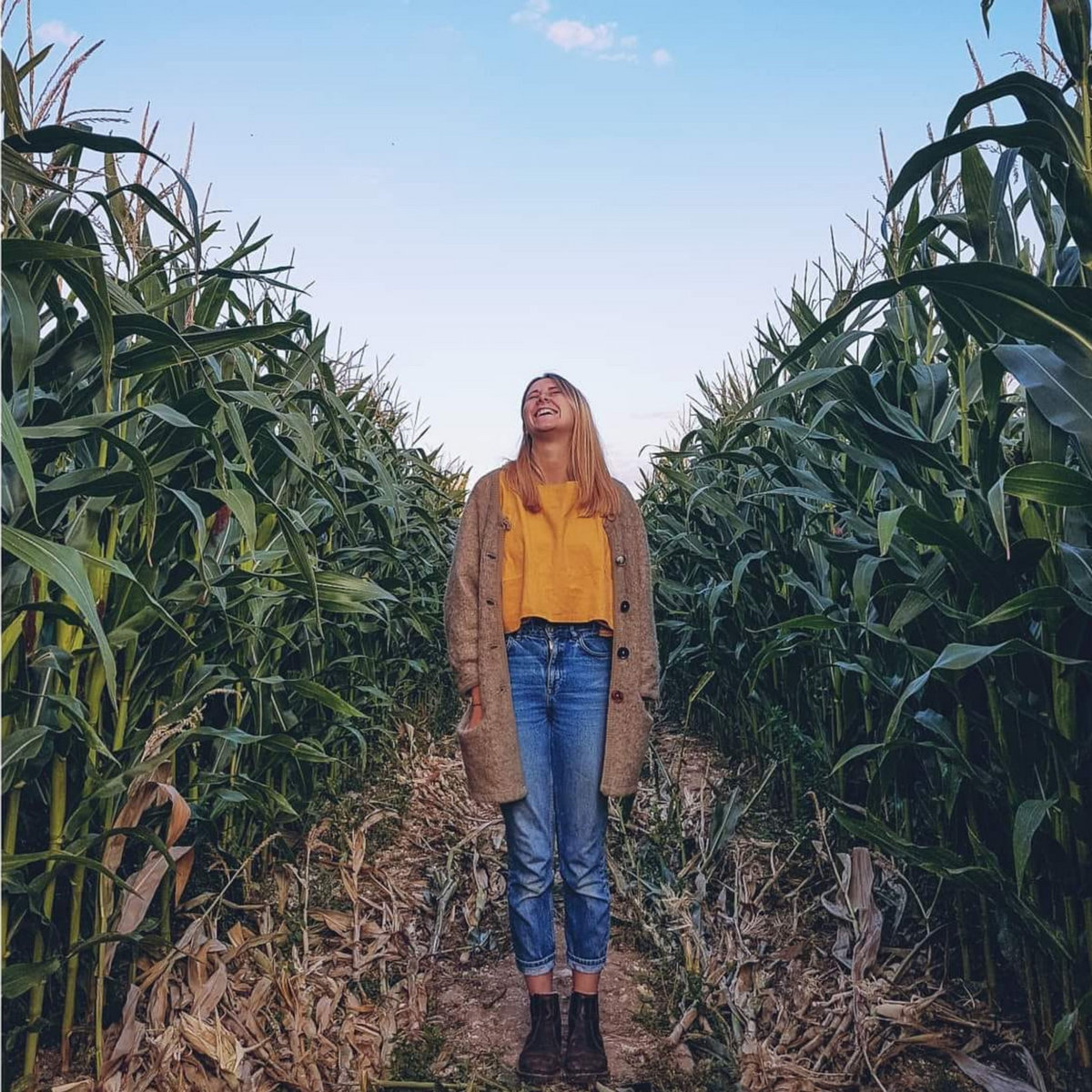 Music | Sarah Collins & Friends