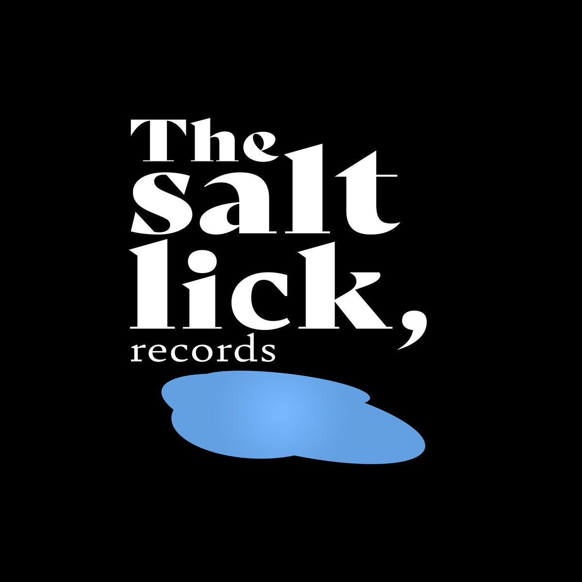 Artists | The Salt Lick Records