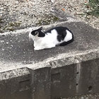 NODE + BonusTrack | Hujiko Pro | 藤子名人 / Hujiko Pro