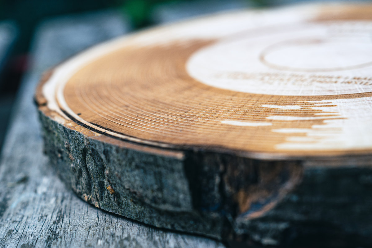 Tree Slice in a 45 style (with engraved Roots Manuva quote) / New ...