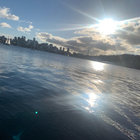 Doppelganger | Curve