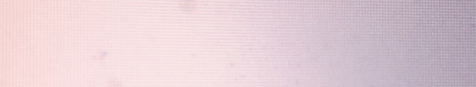 demo | U.D.O. | Flennen