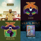 Last Wave Rockers | Common Rider