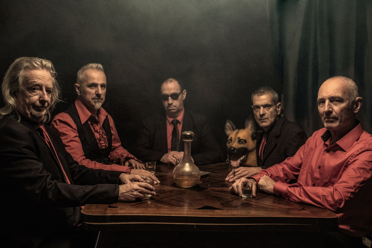 CD WHO LET THE SHAGGY DOGS OUT ?! | Shaggy Dogs