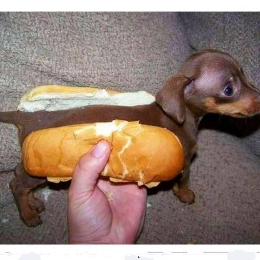 vdjk's collection | Bandcamp