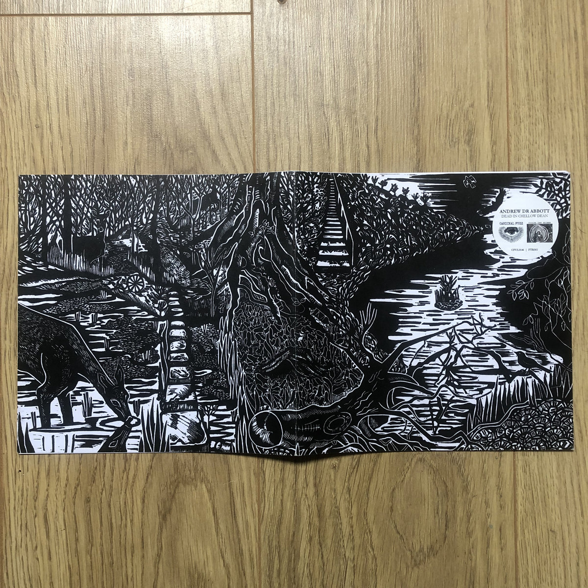 Dead in Chellow Dean | Andrew DR Abbott | Andrew DR Abbott / ADRA