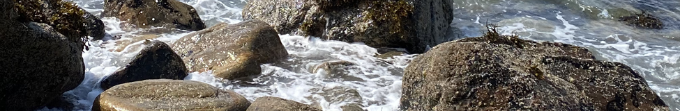 Till | Calum Alex Macmillan | Calum Alex MacMillan