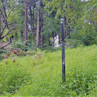 Minecraft - Volume Alpha | C418