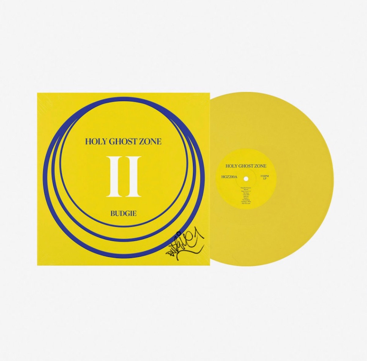 Holy Ghost Zone II | Budgie