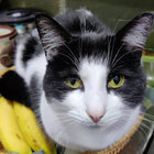 A WARM WEATHER GHOST | Tunde Adebimpe