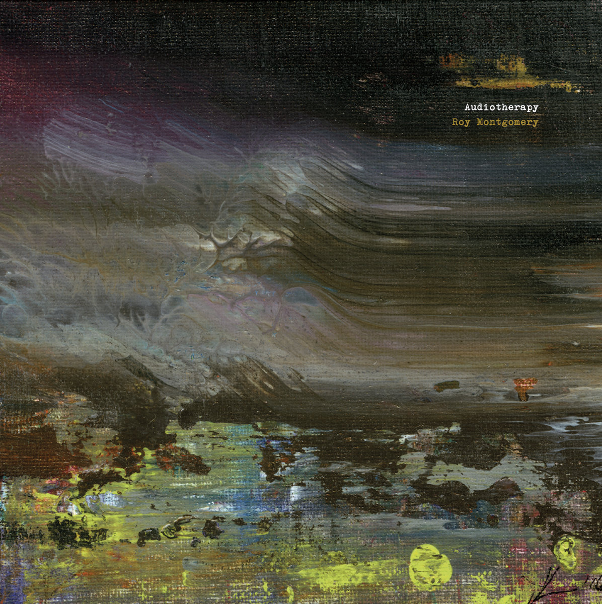 Roy Montgomery 40th Anniversary 2021 LP Series | Roy Montgomery ...