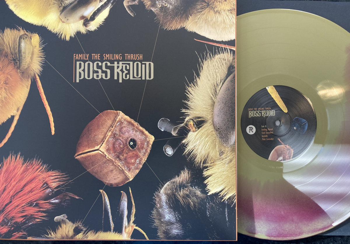 Family the Smiling Thrush | Boss Keloid