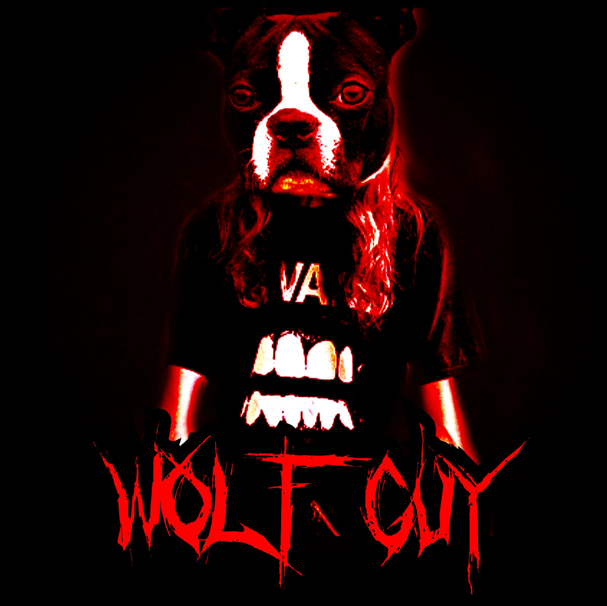 Songs 4 Holly (yet another one of my cats) | WOLF GUY