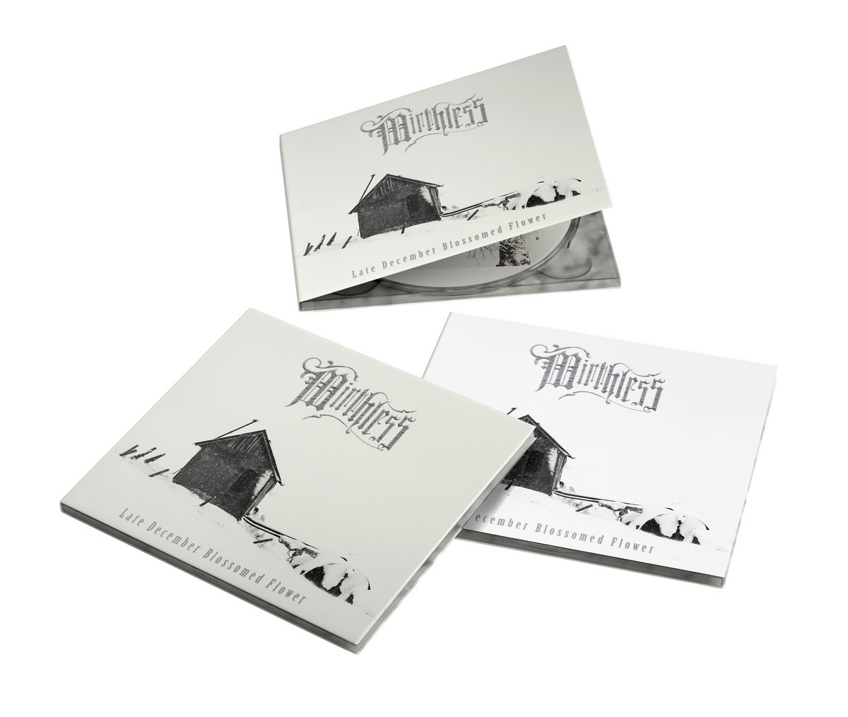 Mirthless - Late December Blossomed Flower | MMR022 | Mirthless | Meuse ...