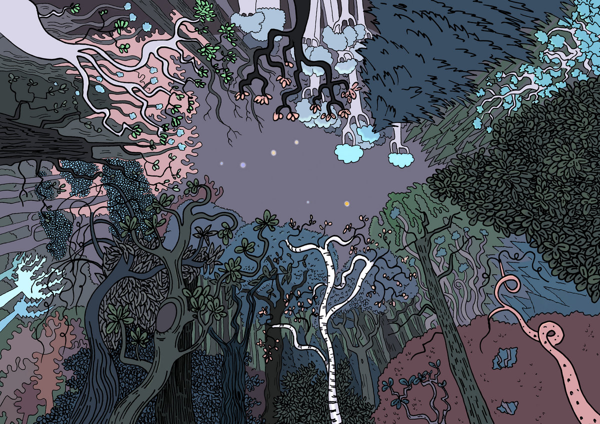 Forest Hollow | Forest Hollow