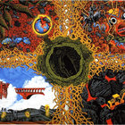 A I A : Alien Observer | Grouper