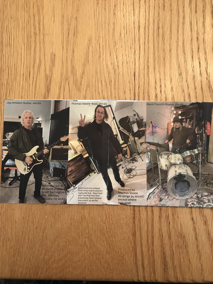 When the Levee Breaks | Working Our Way Down