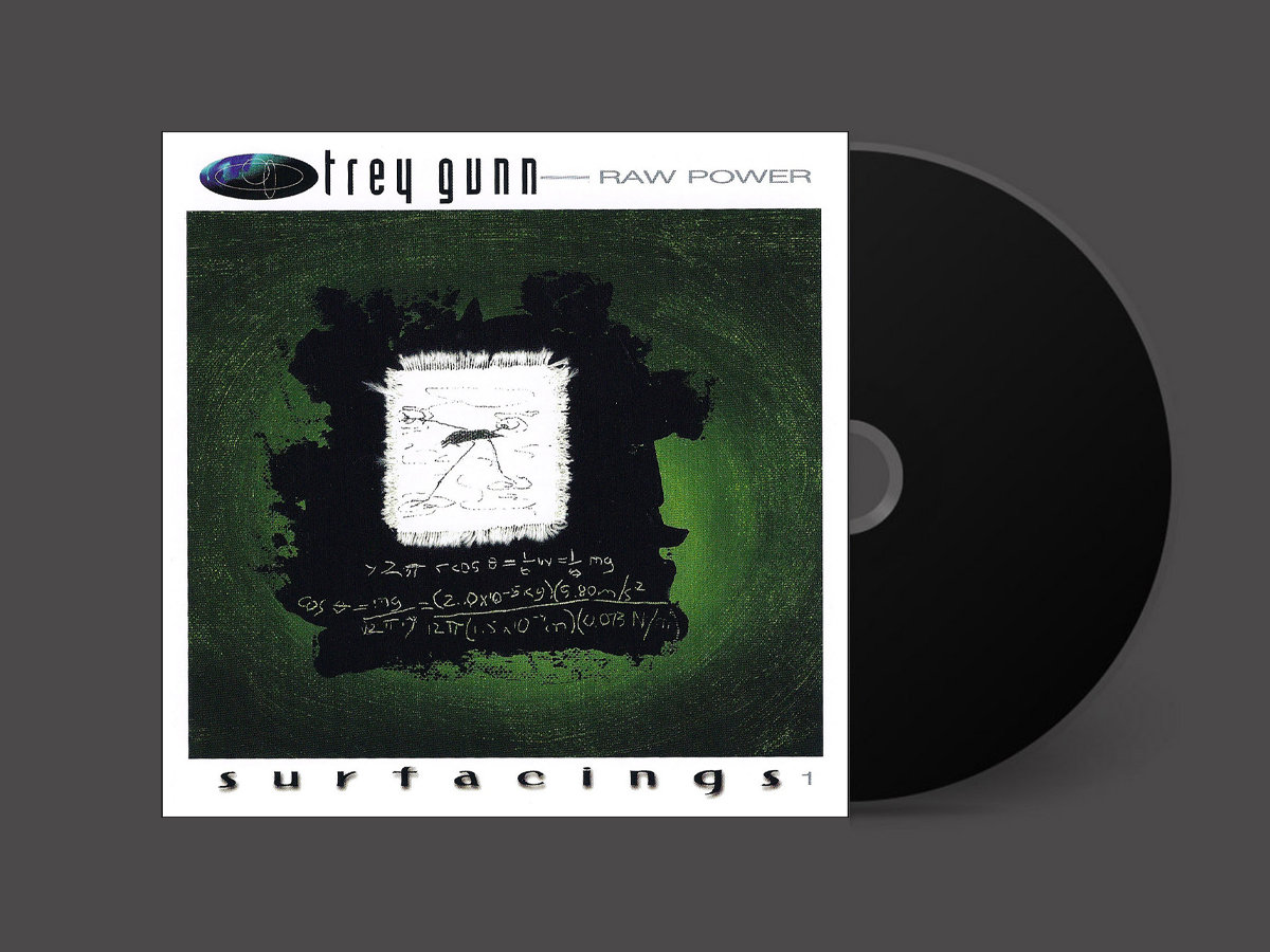 Raw Power | Trey Gunn