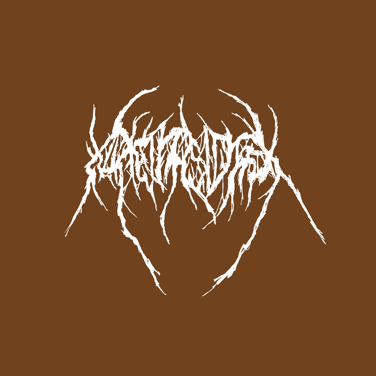 Spring Sunset | Volyn Field