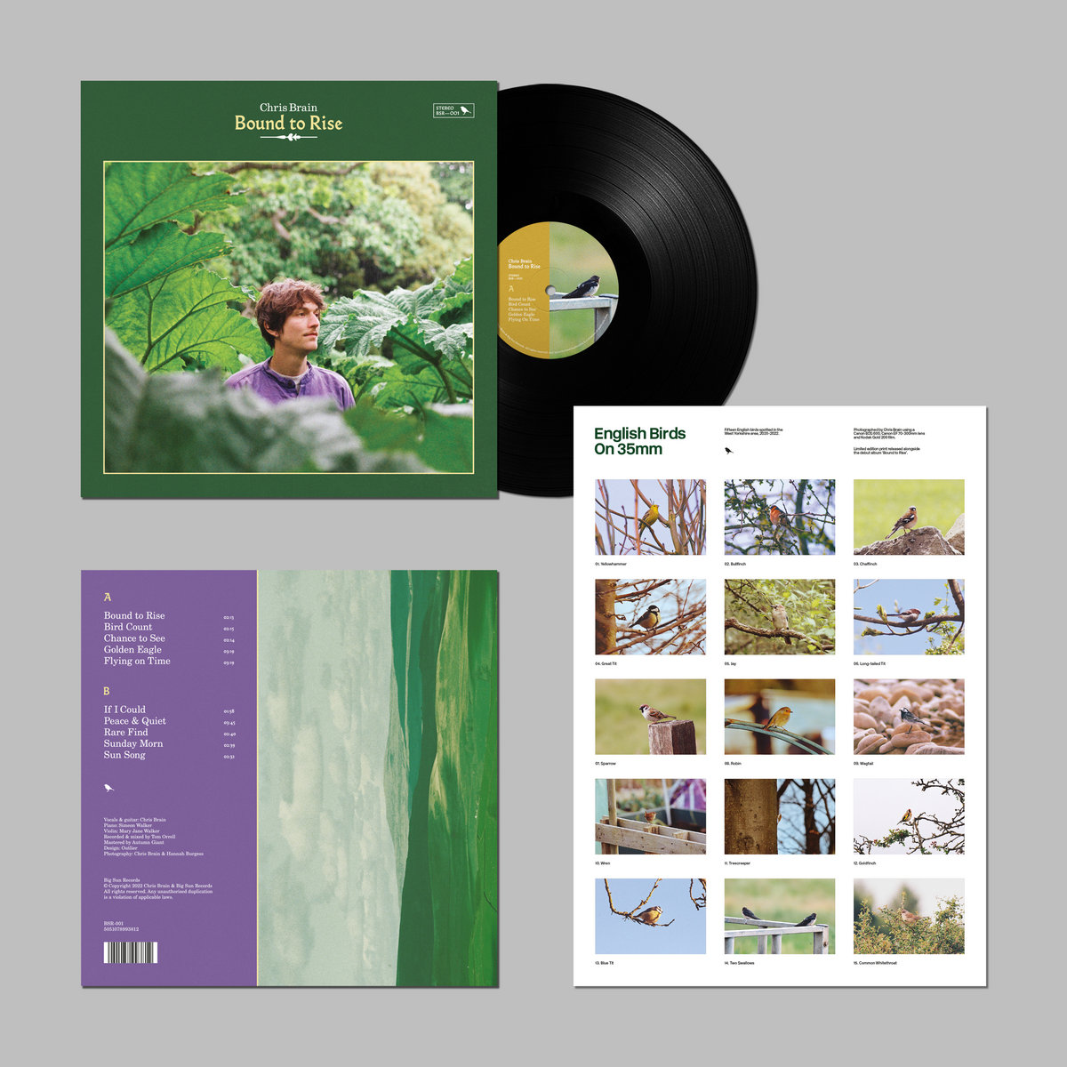 Golden Eagle | Chris Brain