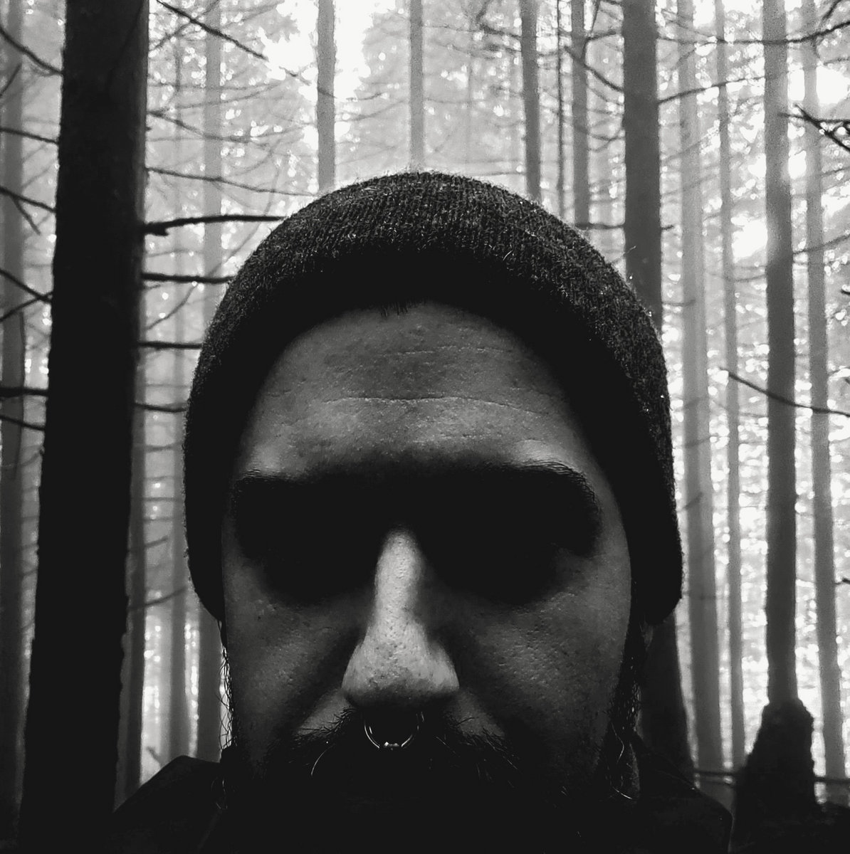 Cognitive Drift | Static Skull