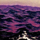 Foxlore | The Crane Wives