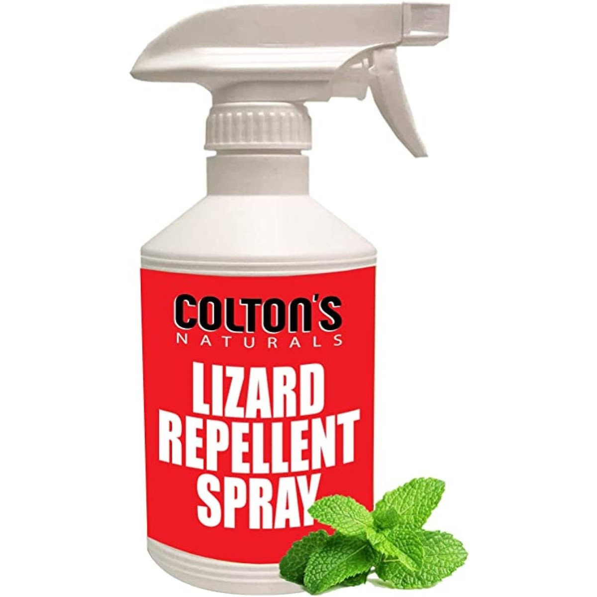 Lizard People Repellent | Tin Foil Hat