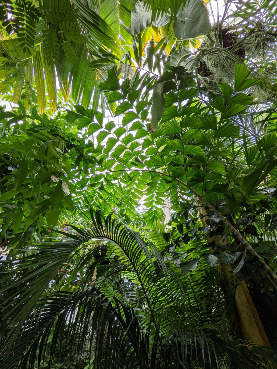 Demos | Verdant Green