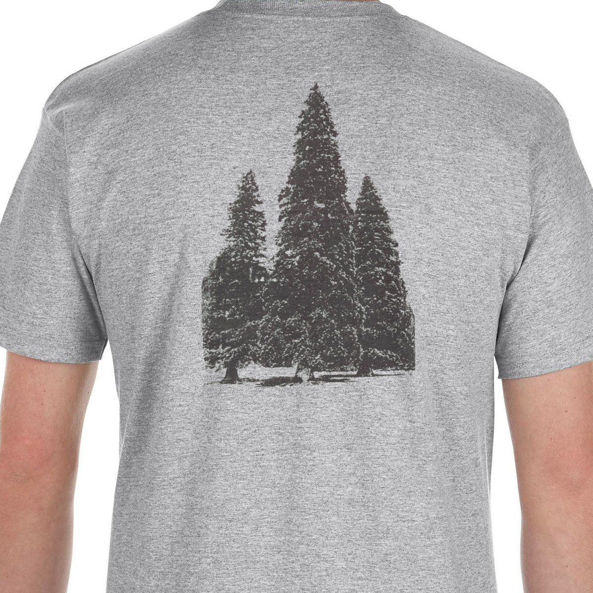 Tell me about the long dark path home | The Newfound Interest In ...