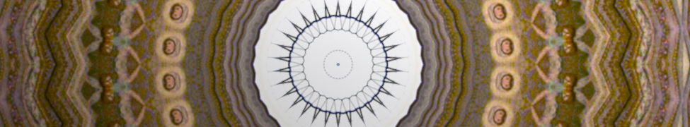 A Great Many | Aaron Siegel